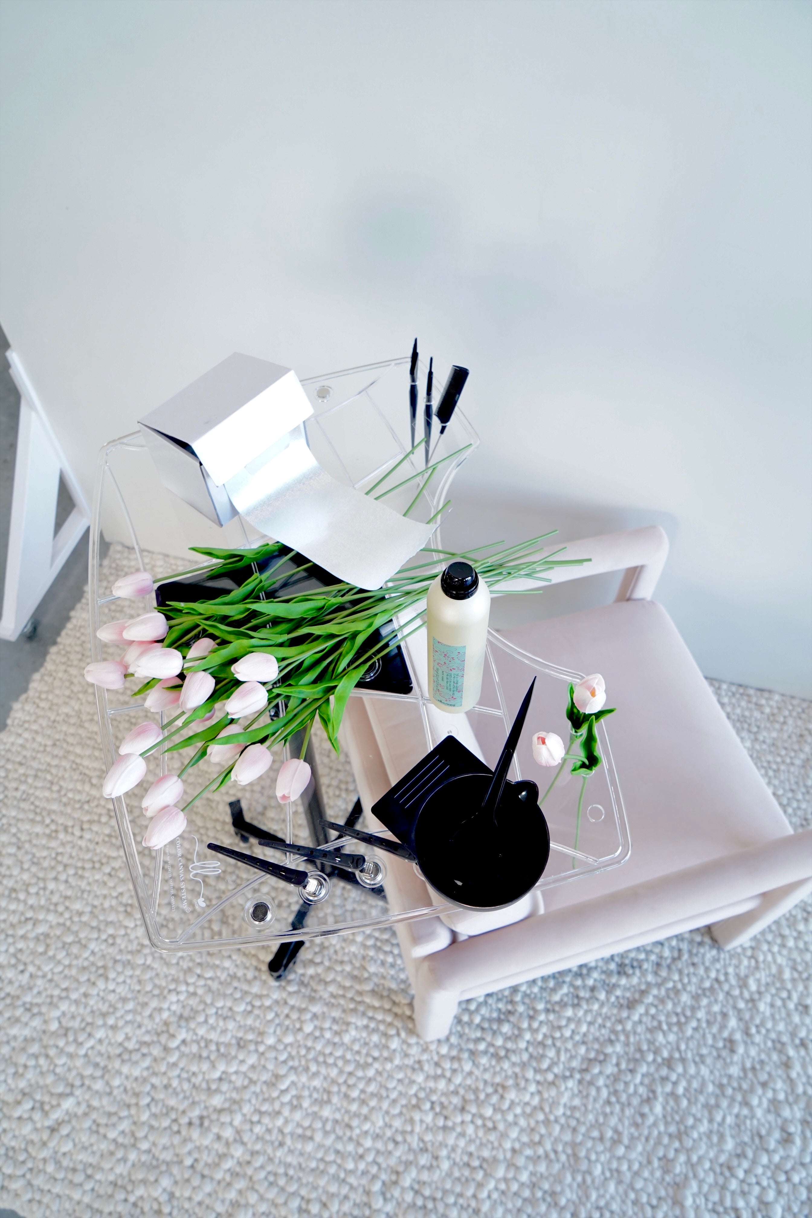 Color Canvas Systems